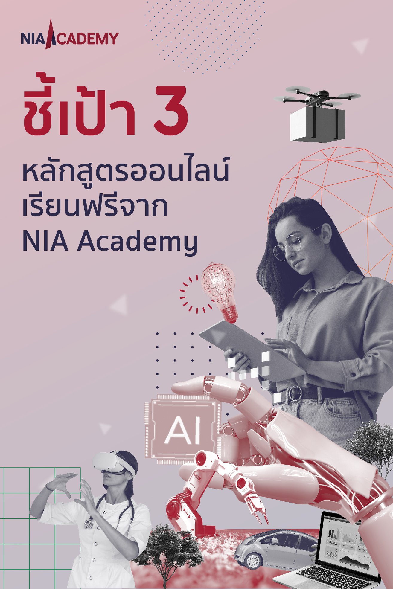 NIA Academy - SE Thailand